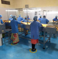 Indian Frozen Food Brand - Top Food Distribution Company in the World